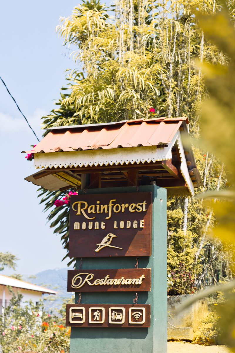 Into The Green: How To Visit The Sinharaja Forest Reserve