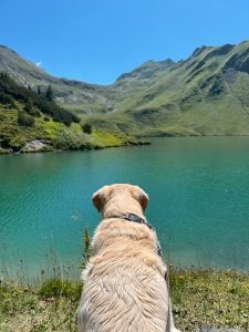 How Hike To Schrecksee: 8 Essential Things To Know