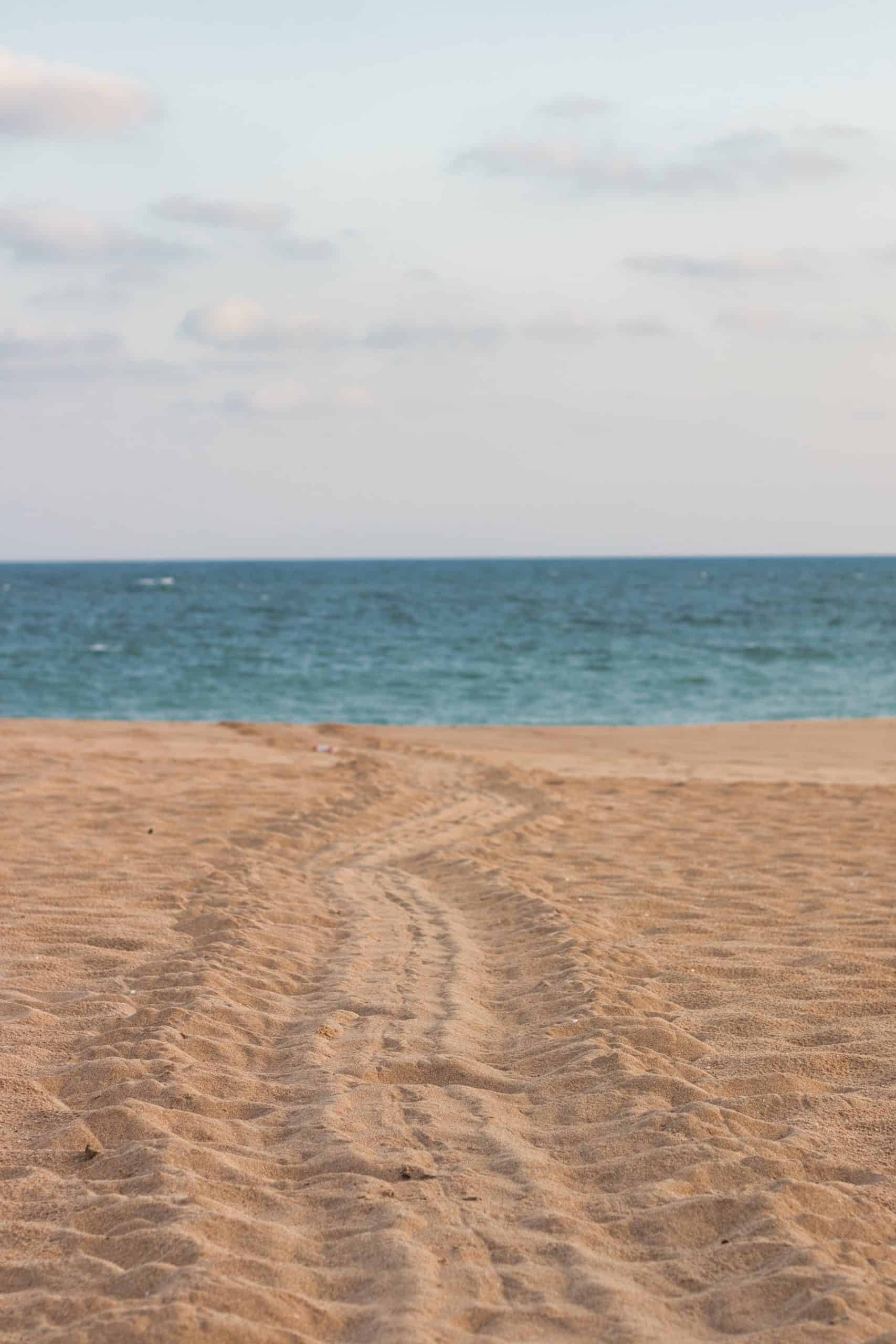 Rekawa Beach - The Most Beautiful Hidden Beach In Sri Lanka